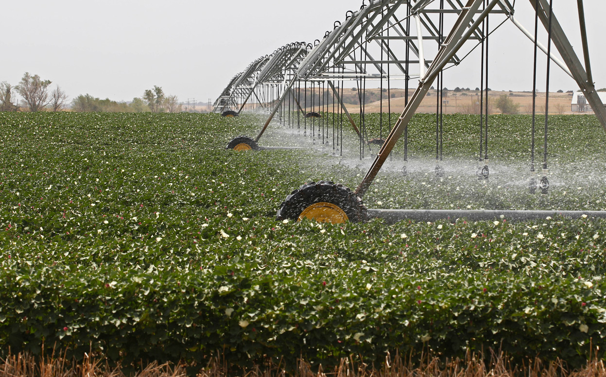 StiriAgricole.ro | Portalul agriculturii romanesti