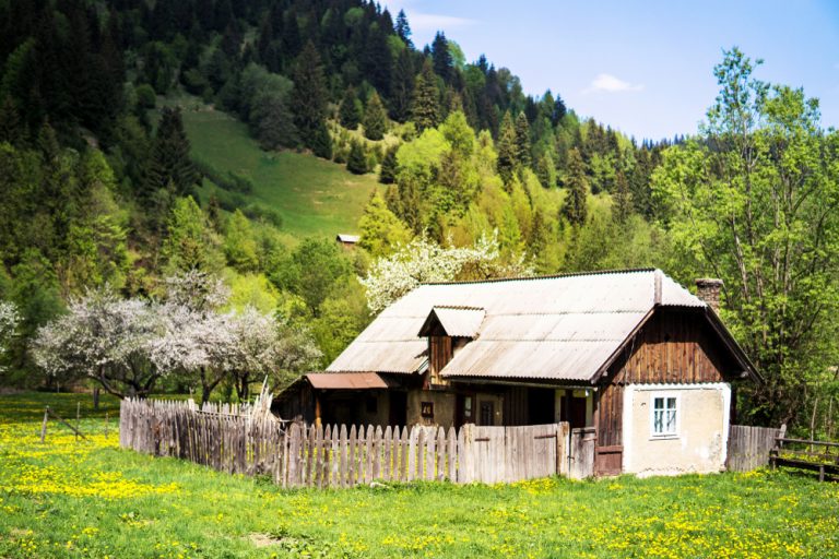 Viata la tara: cum sa reduci cheltuielile si sa te bucuri de acelasi ...